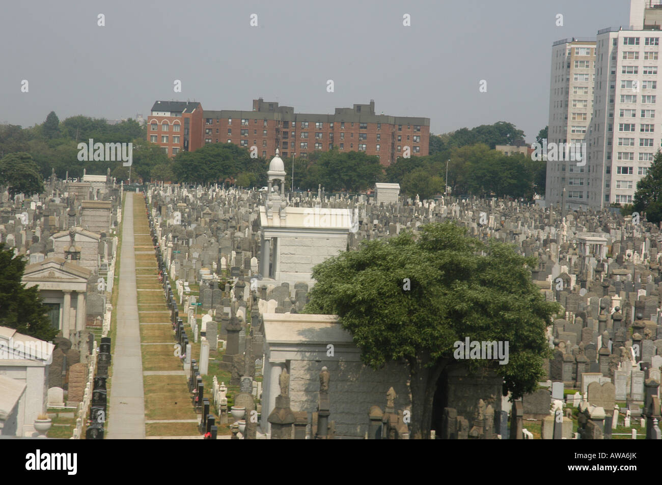 Brooklyn graves hi-res stock photography and images - Alamy
