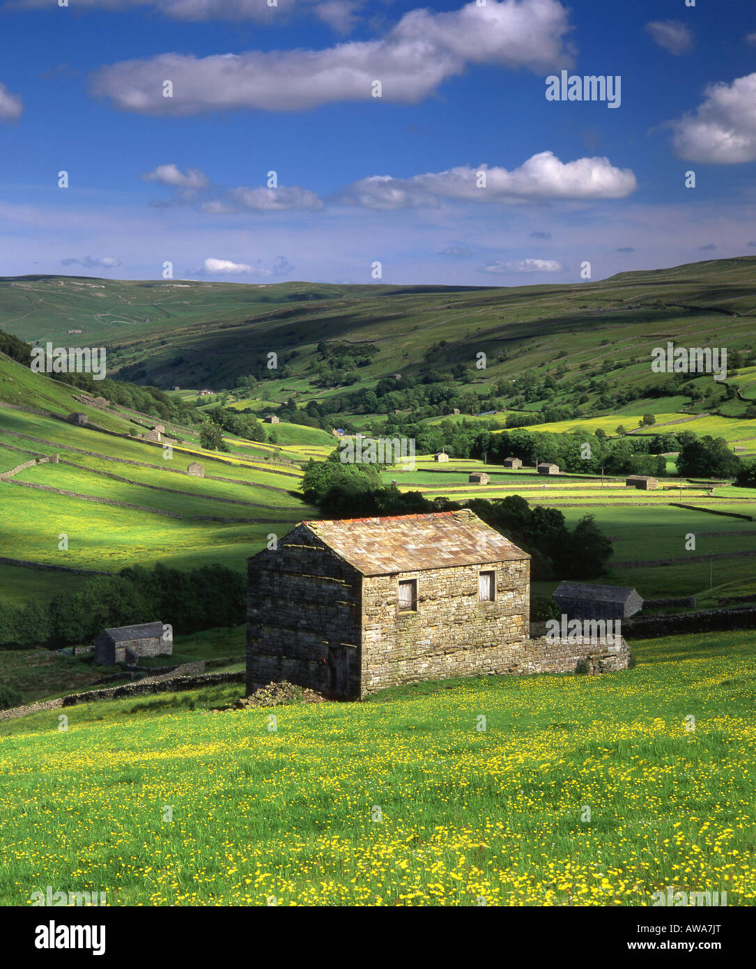 Yorkshire dales barns hi-res stock photography and images - Alamy
