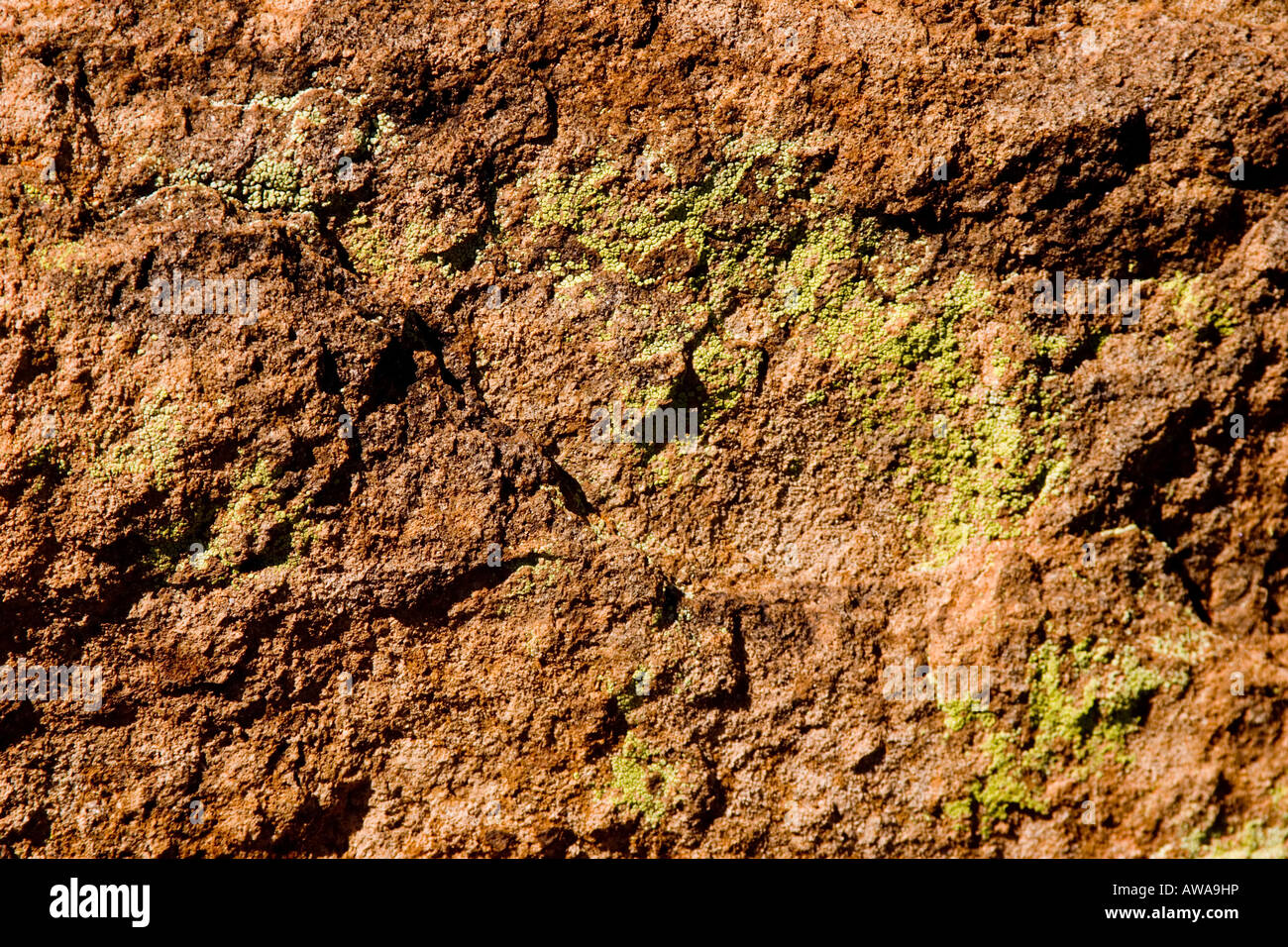 tan and green background Stock Photo - Alamy