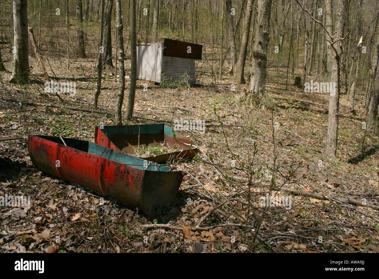 Empty old cabin in the forest pictures images photos photograph Nature ...