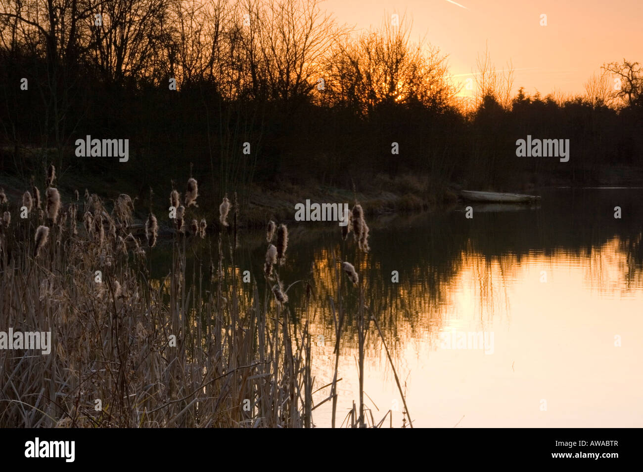 Spring sunrise over woodrow pool Stock Photo - Alamy