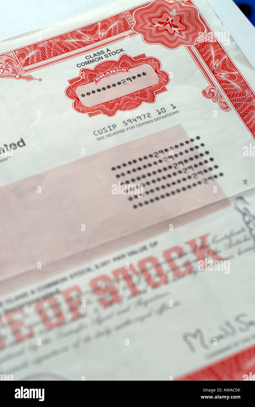 Miscrostrategies stock certificate on white background (closeup Stock ...