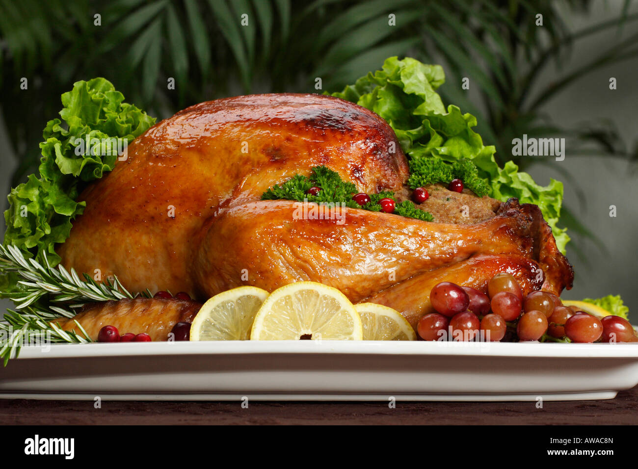 Roast whole turkey with stuffing vegetables fruit on a white plate ...