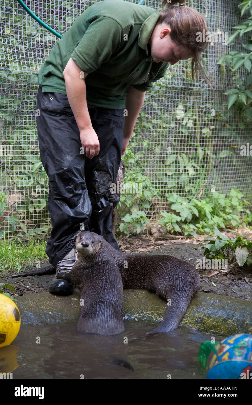 Mole Hall wildlife park and butterfly pavillion, Widdington, Saffron ...