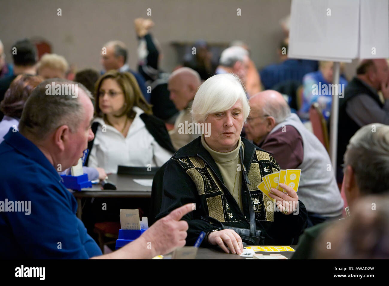 Bridge Cards Tournament High Resolution Stock Photography and Images ...