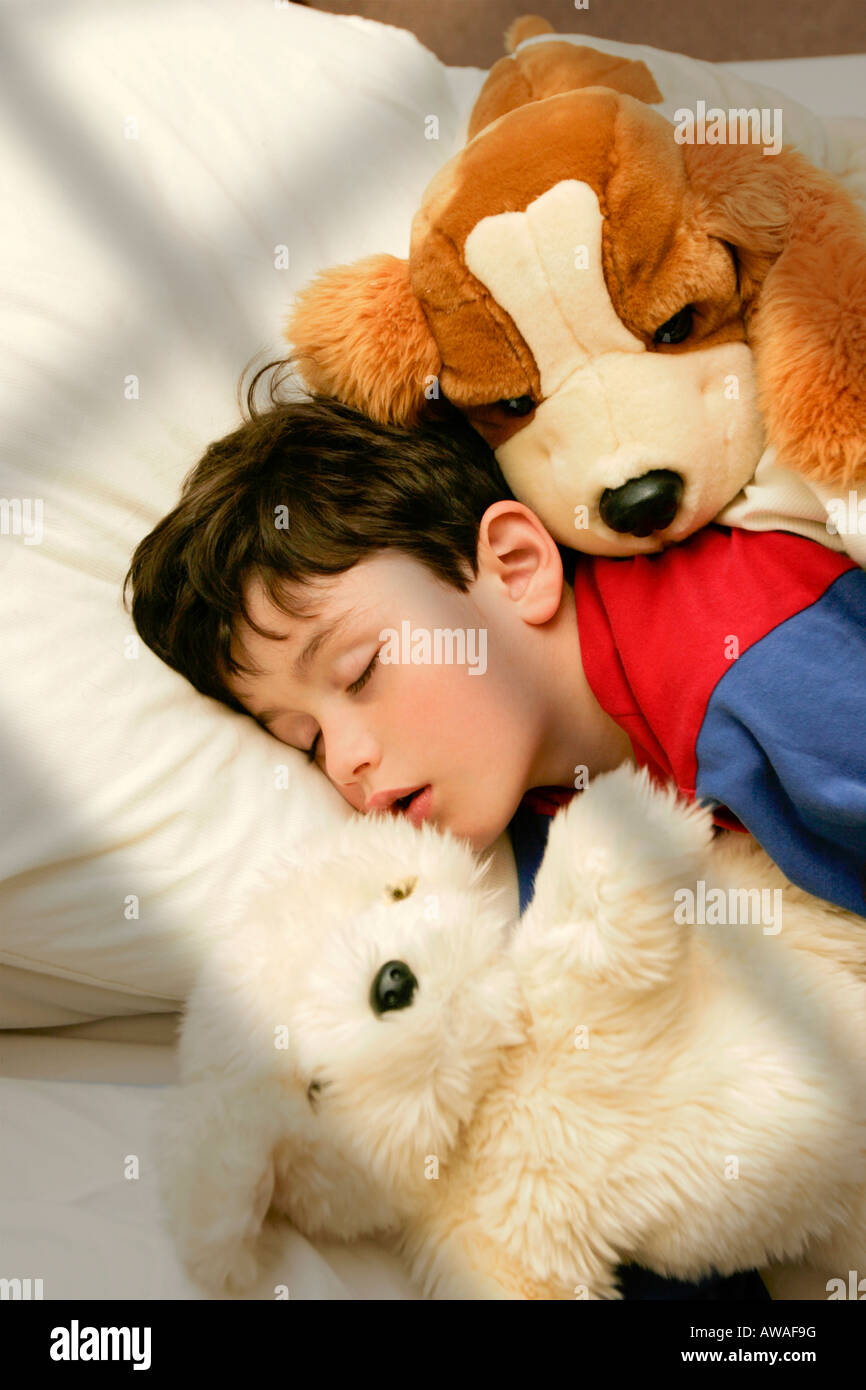 Sleeping boy in bed with his cuddly toys and early morning window light ...