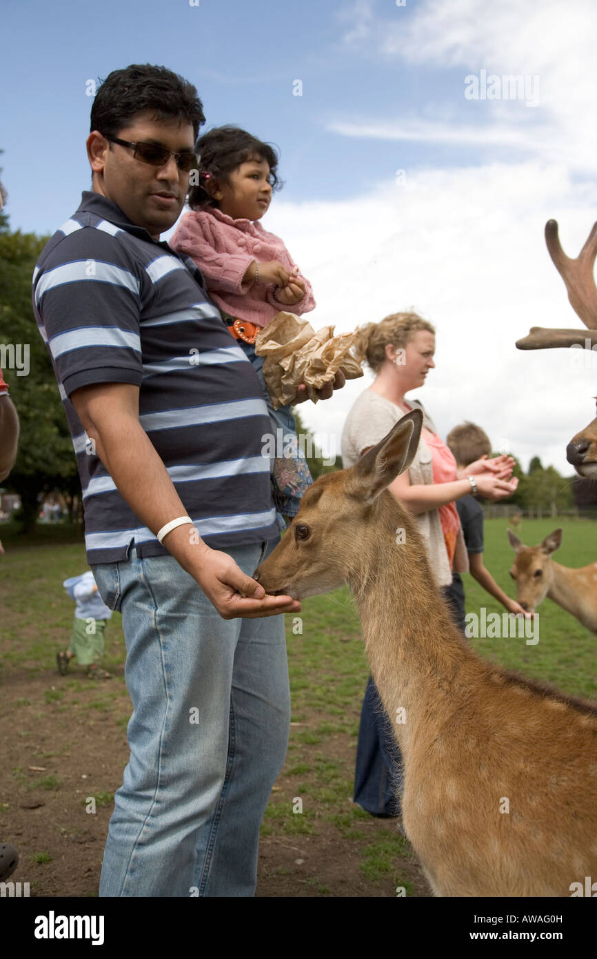 Mole Hall wildlife park and butterfly pavillion, Widdington, Saffron ...