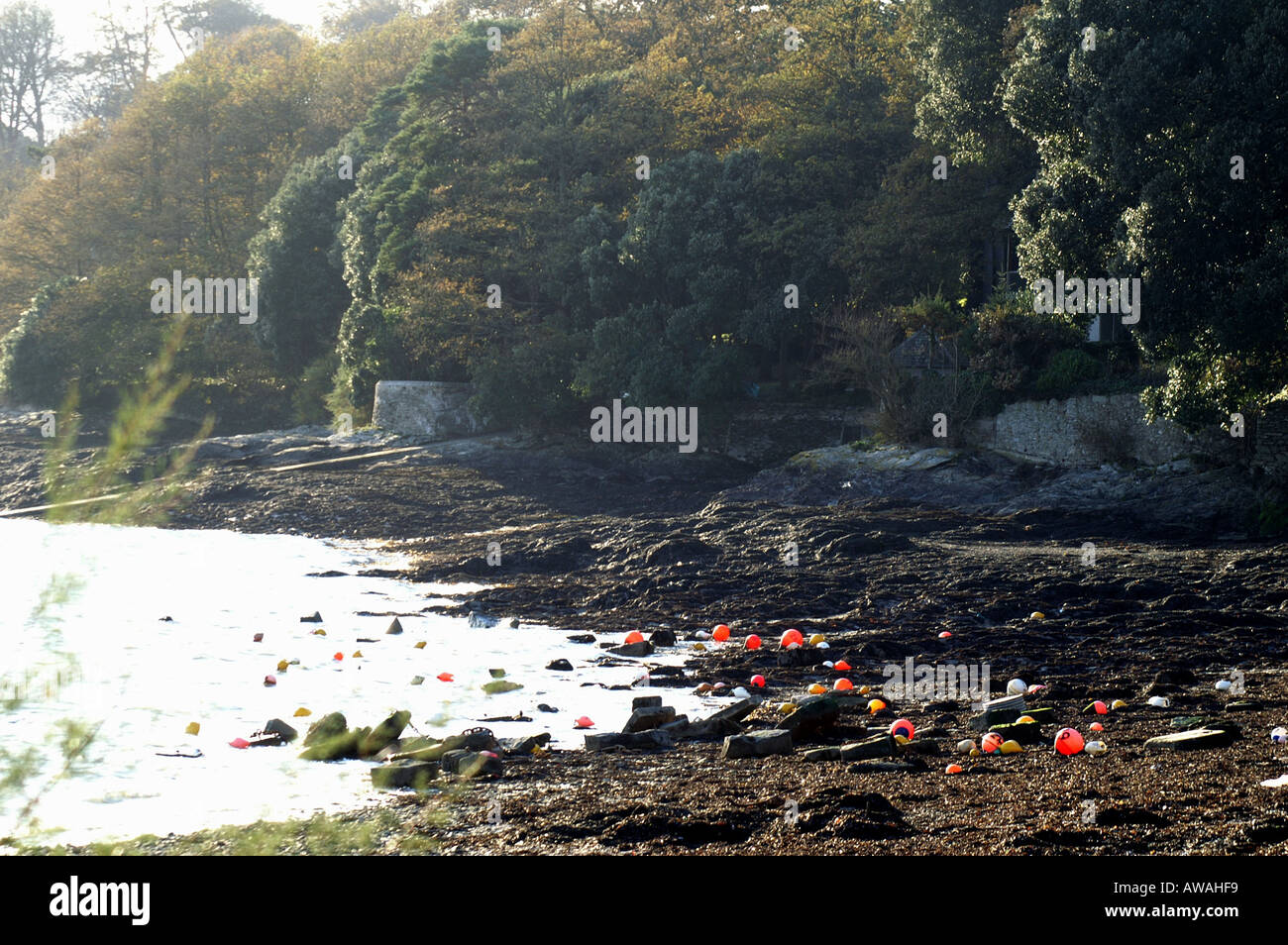 Mooring buoys on Loe beach Feock Cornwall England UK Europe Stock Photo ...