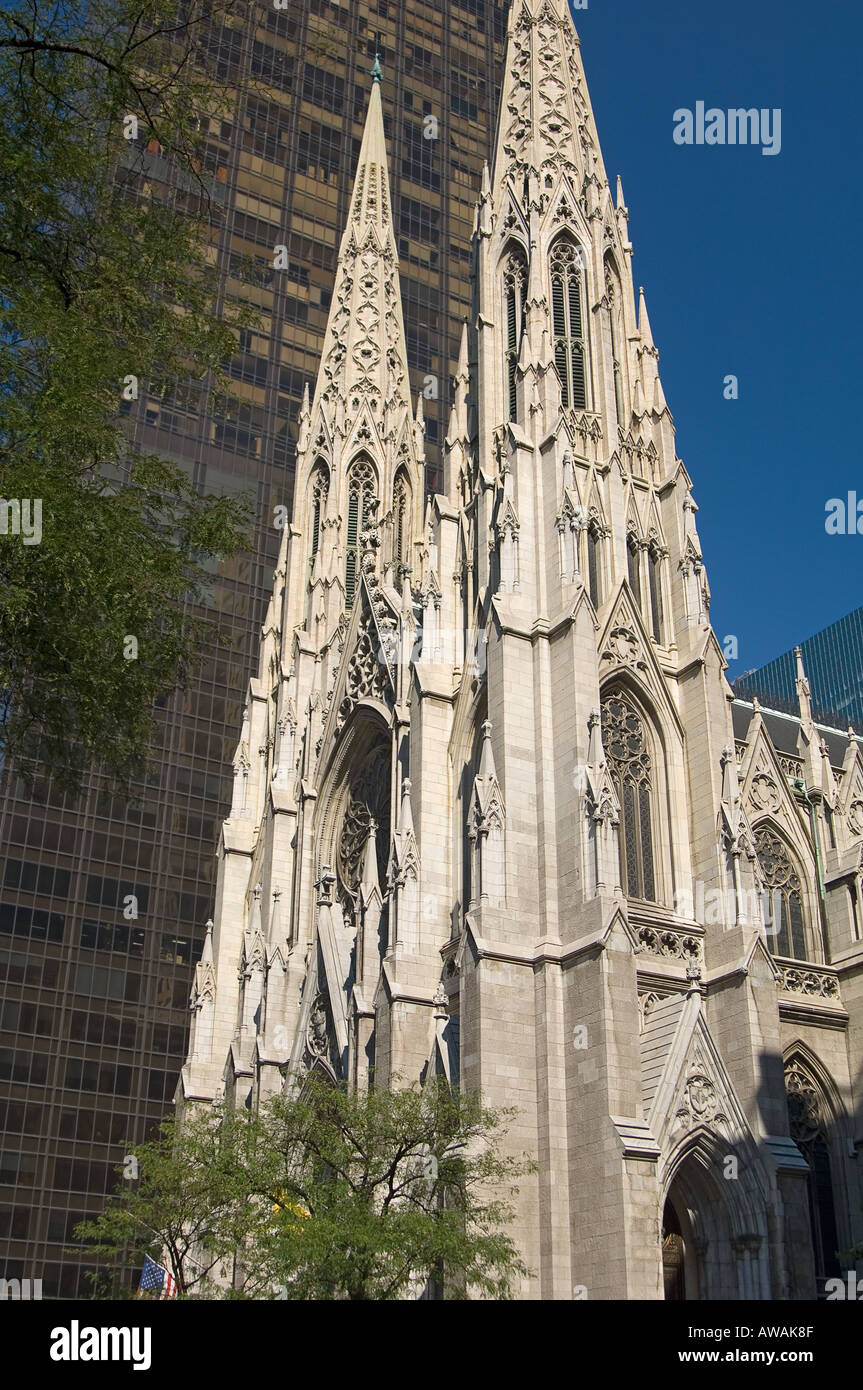 Old st patricks cathedral hi-res stock photography and images - Alamy