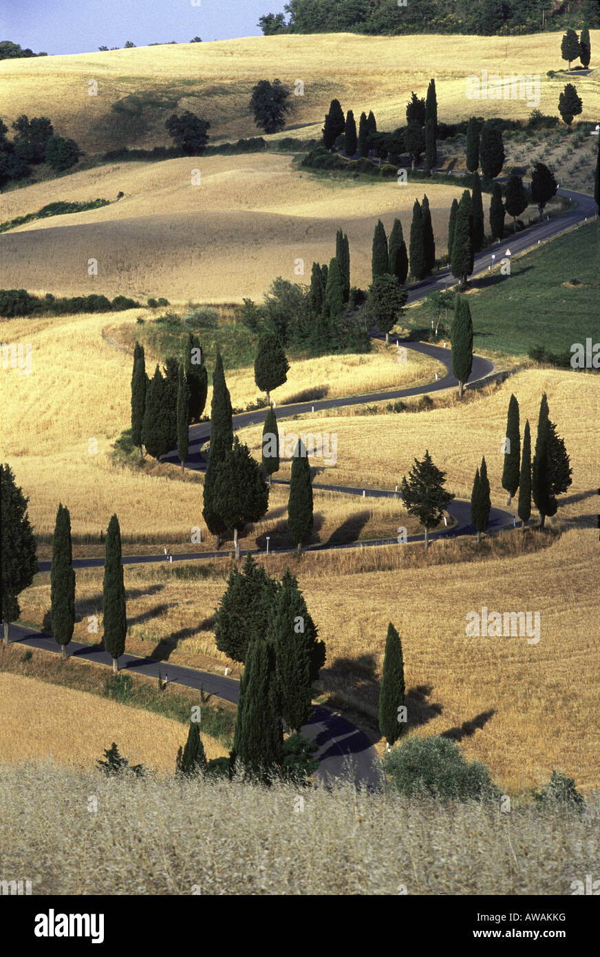 Landscape with road in Tuscany Italy Stock Photo - Alamy