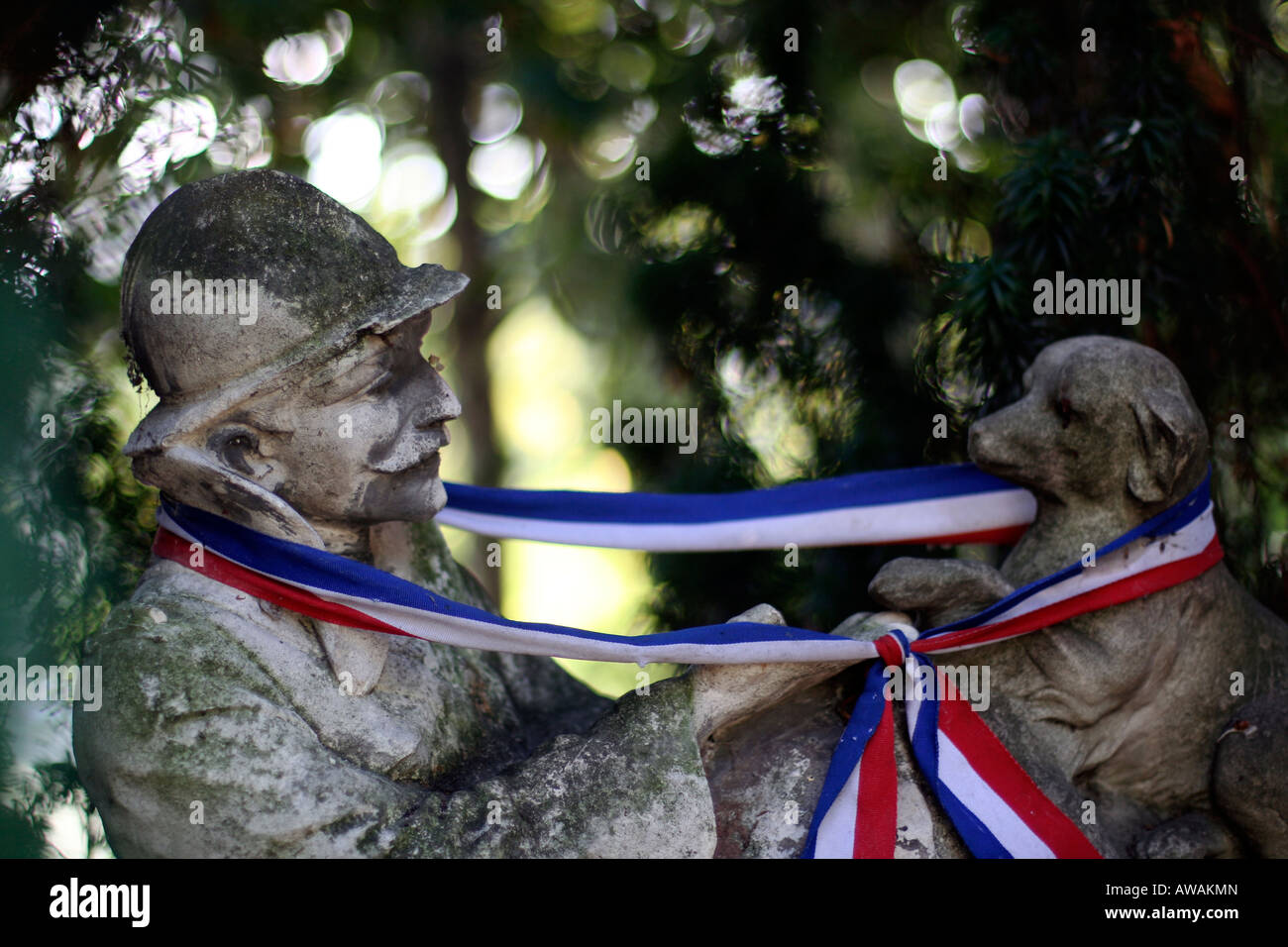 Service dogs hi-res stock photography and images - Alamy