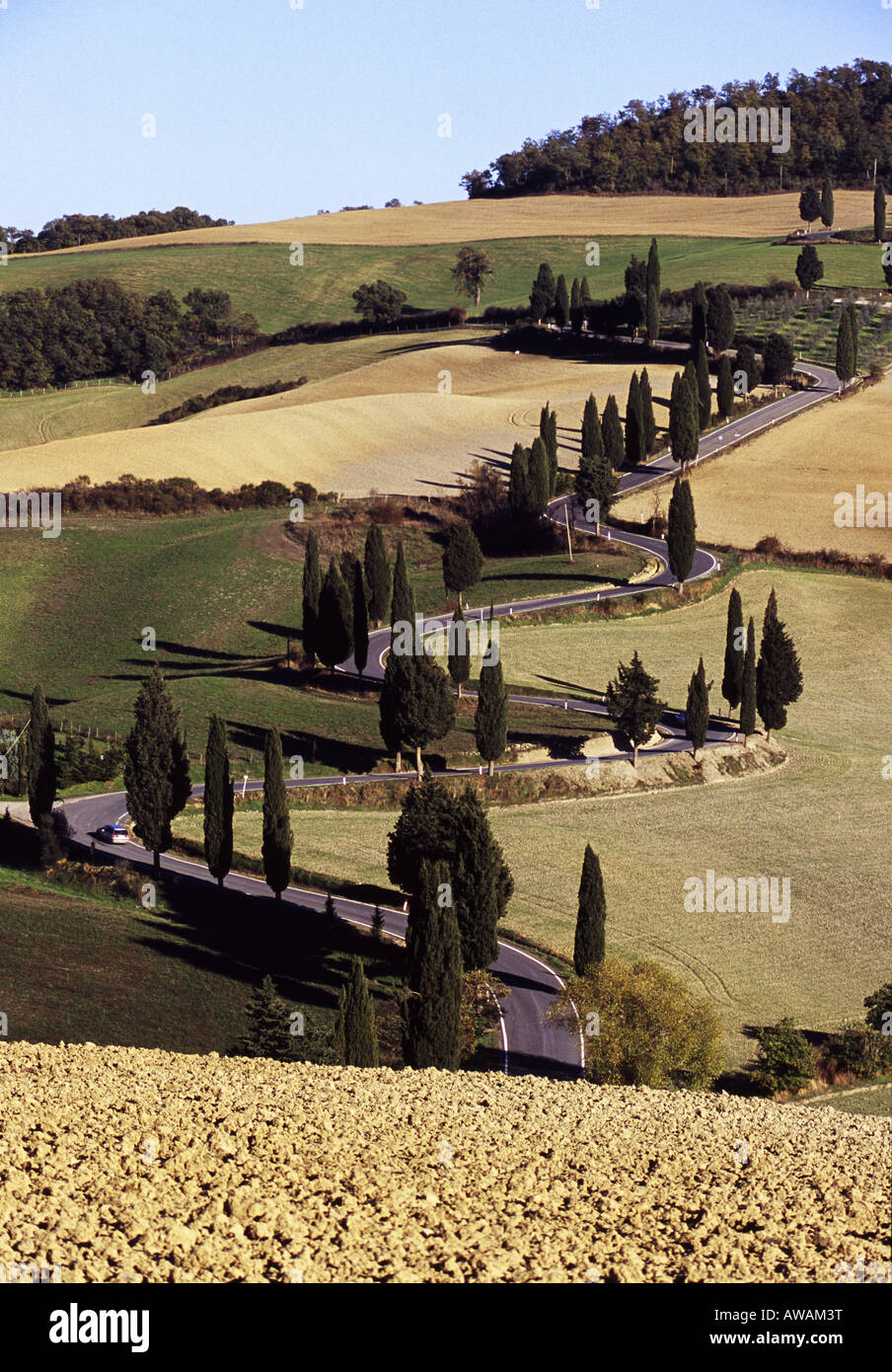 Landscape with road in Tuscany Italy Stock Photo - Alamy