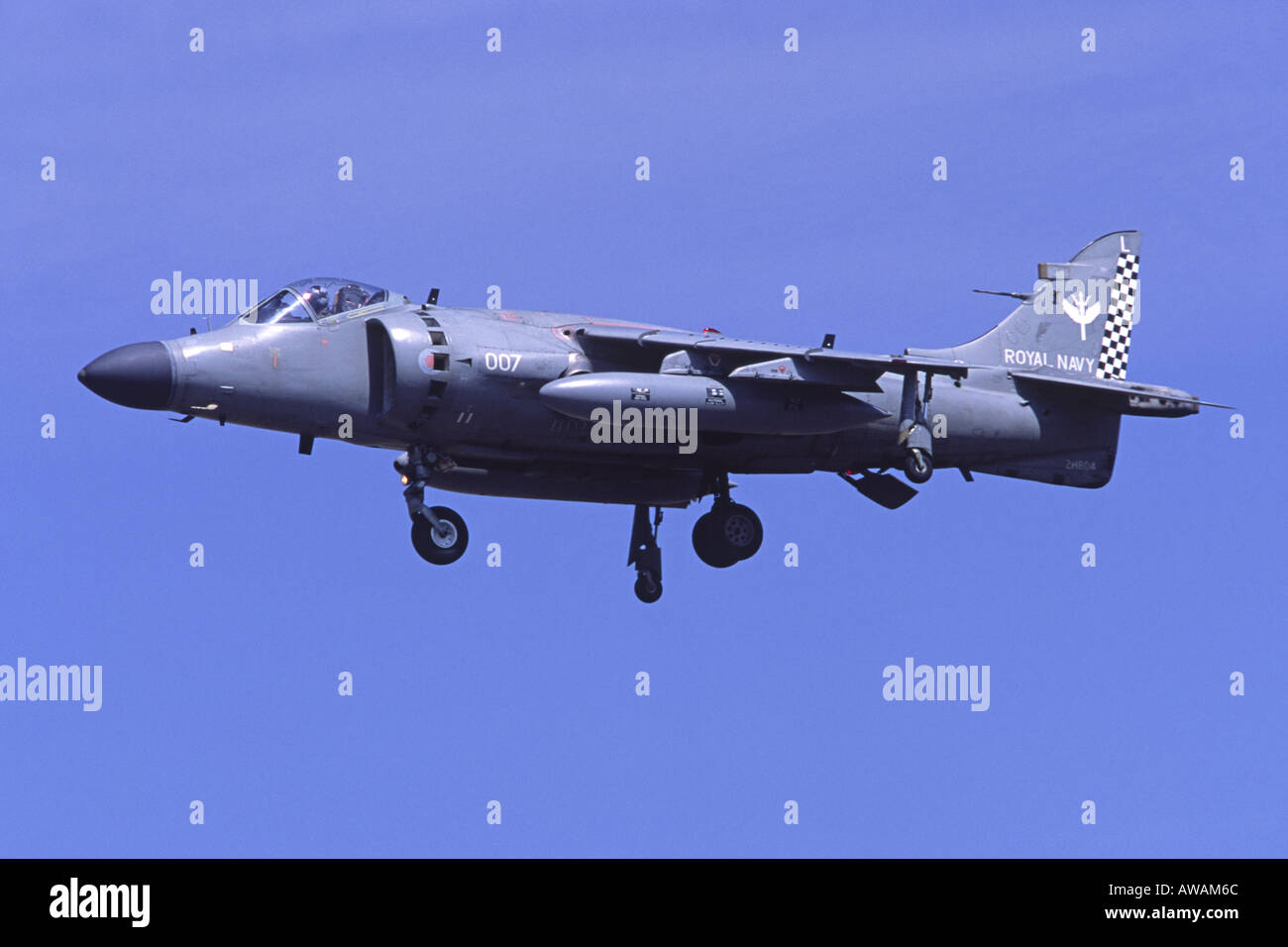 BAe Sea Harrier FA2 Stock Photo - Alamy