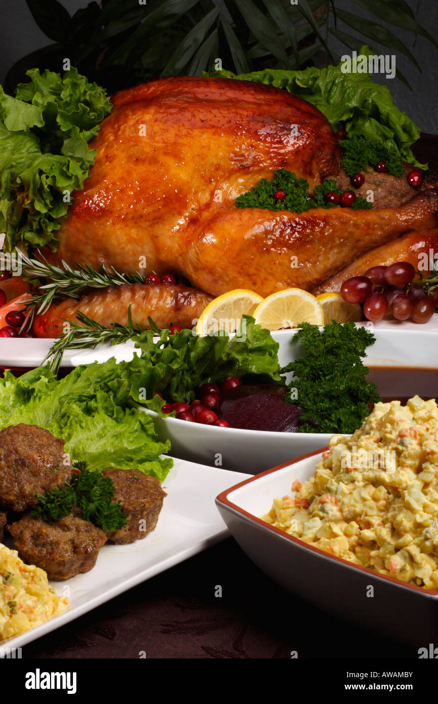 Roast whole turkey with potato salad mayonnaise on a white plate ...