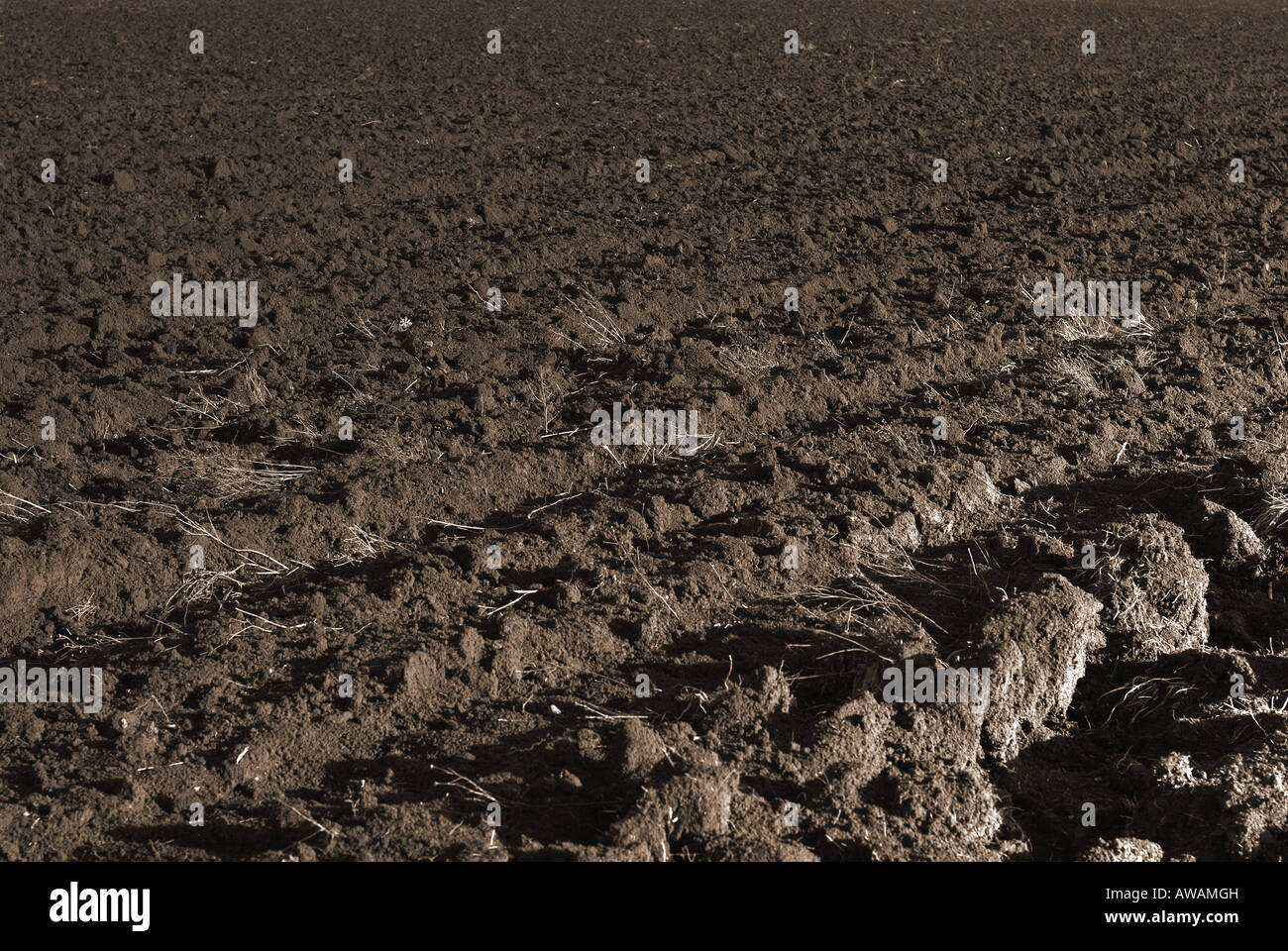 The ploughed field humus the fertile grounds of the East Europe Stock ...