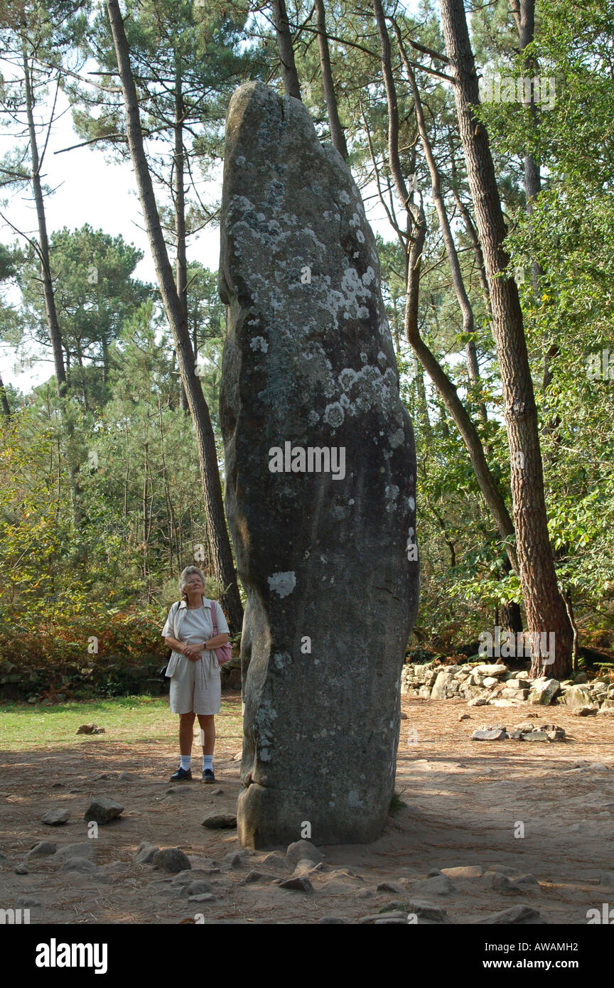 Menhirs Le Geant du Manio Kerlescan Morbihan Brittany France Stock ...