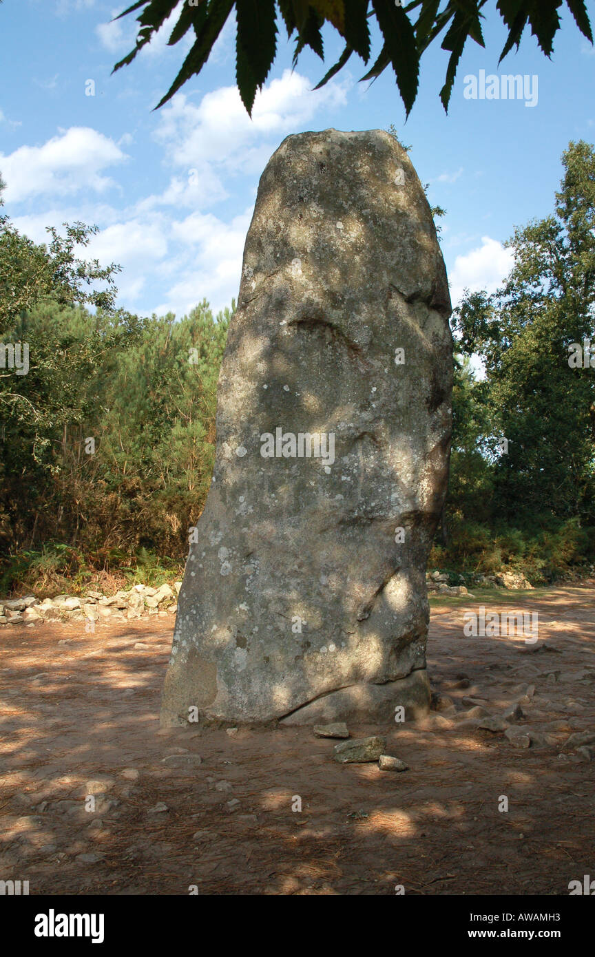 Menhirs Le Geant du Manio Kerlescan Morbihan Brittany France Stock ...