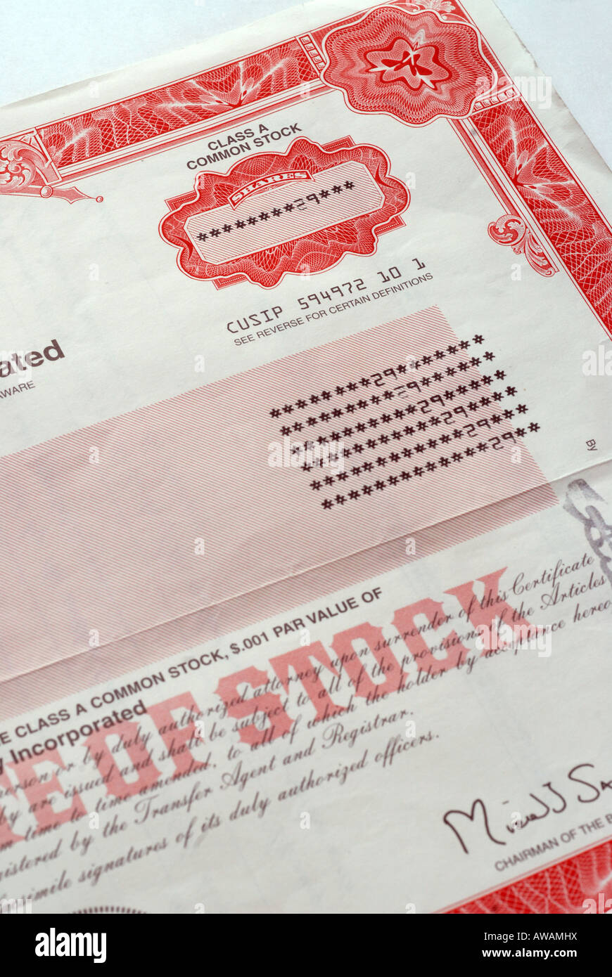 Common Stock Certificate Template