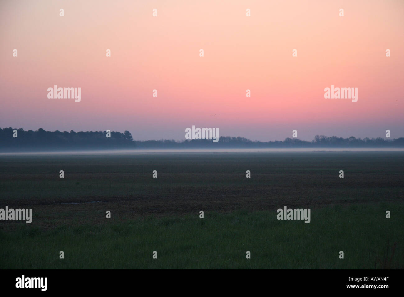 Sunrise Over a Farm Field in Dorchester County Stock Photo - Alamy