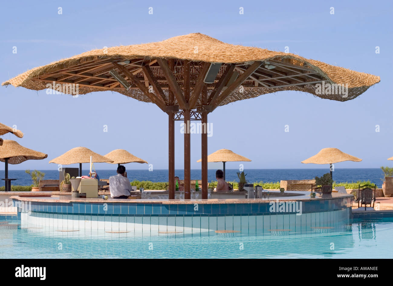 Swimming Pool Bar Egypt Red Sea El Quesir Stock Photo - Alamy