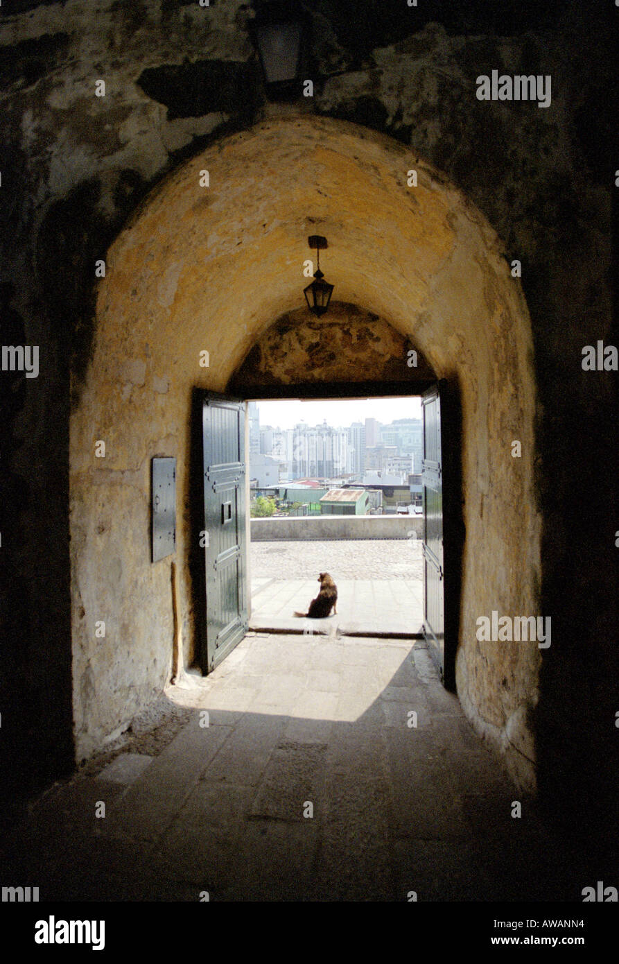 Dog sat in the gateway entrance to Monte Museum, Old Fort, Macau Stock ...