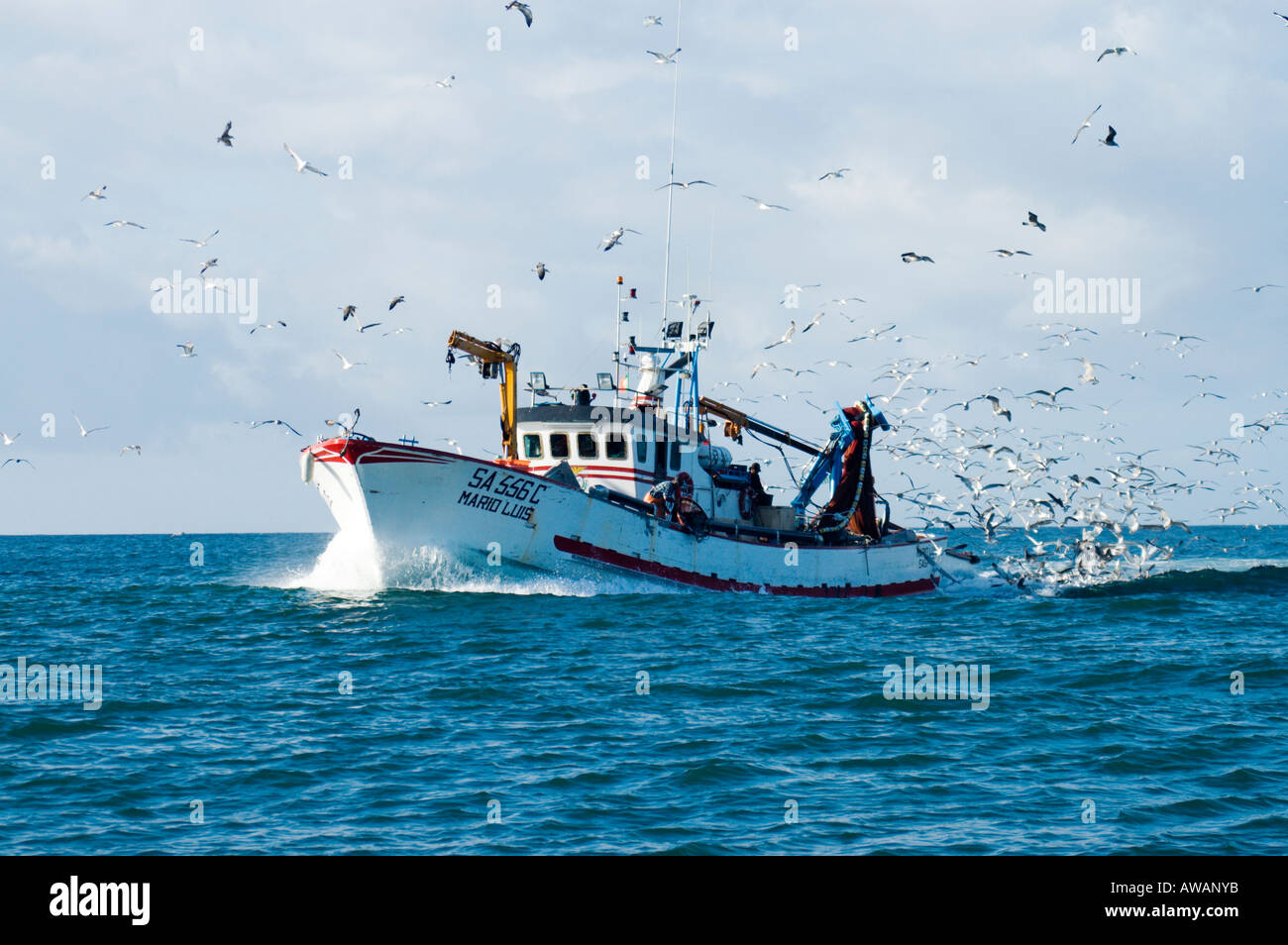 Portuguese fishing vessel returning to harbour Stock Photo - Alamy