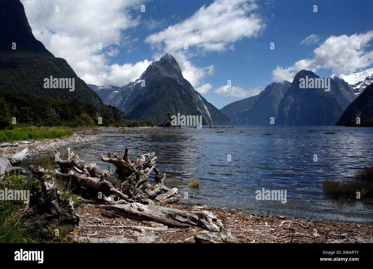 Mitre Peak, Milford Sound, South Island, New Zealand Stock Photo - Alamy