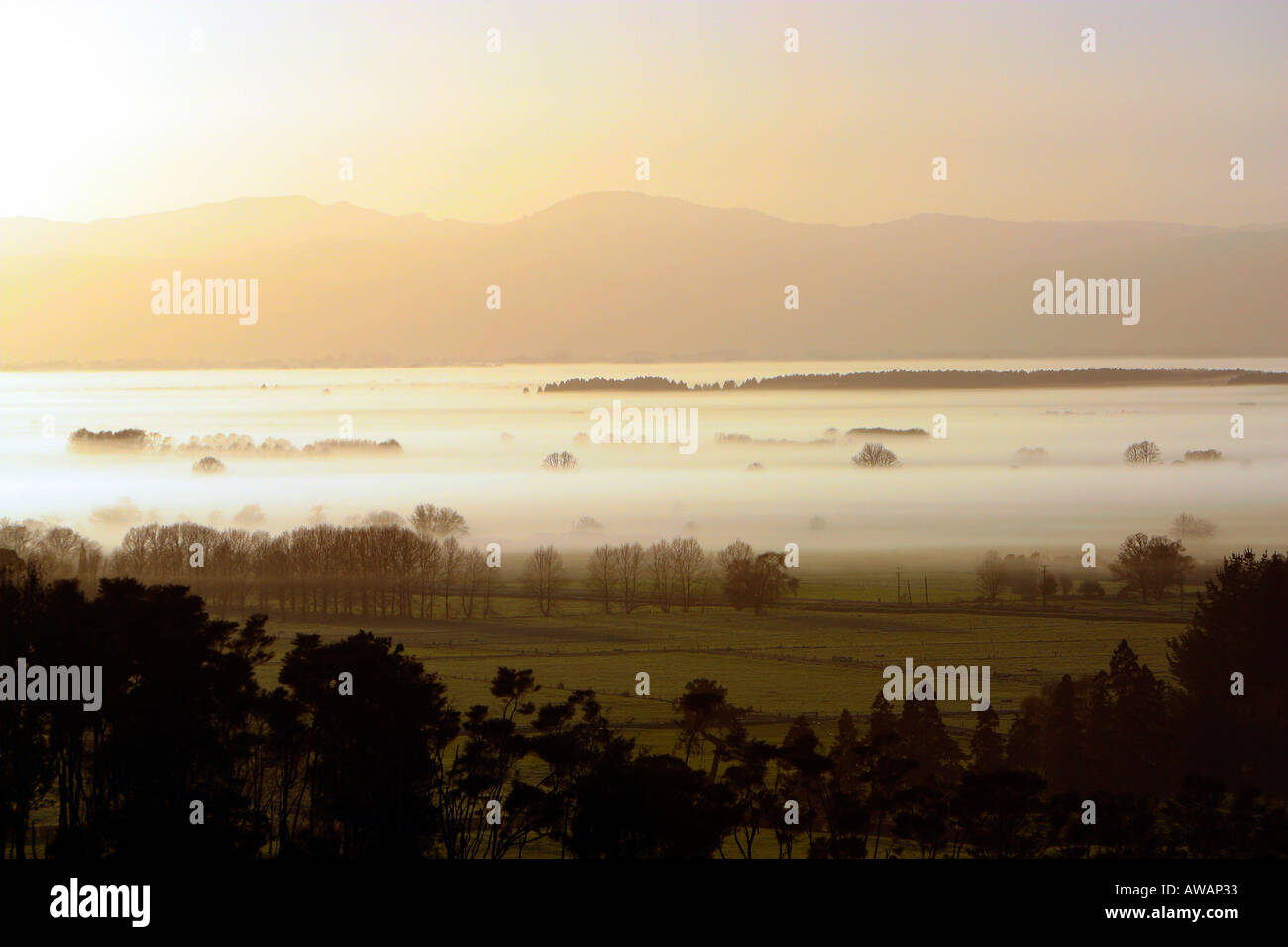 Matamata new zealand view hi-res stock photography and images - Alamy