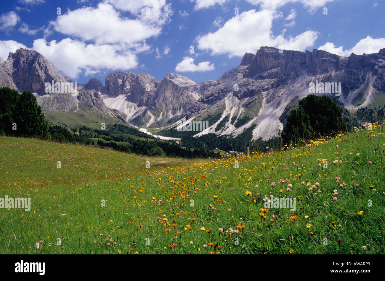 Meadow and mountains in the Dolomites, Italy Stock Photo - Alamy