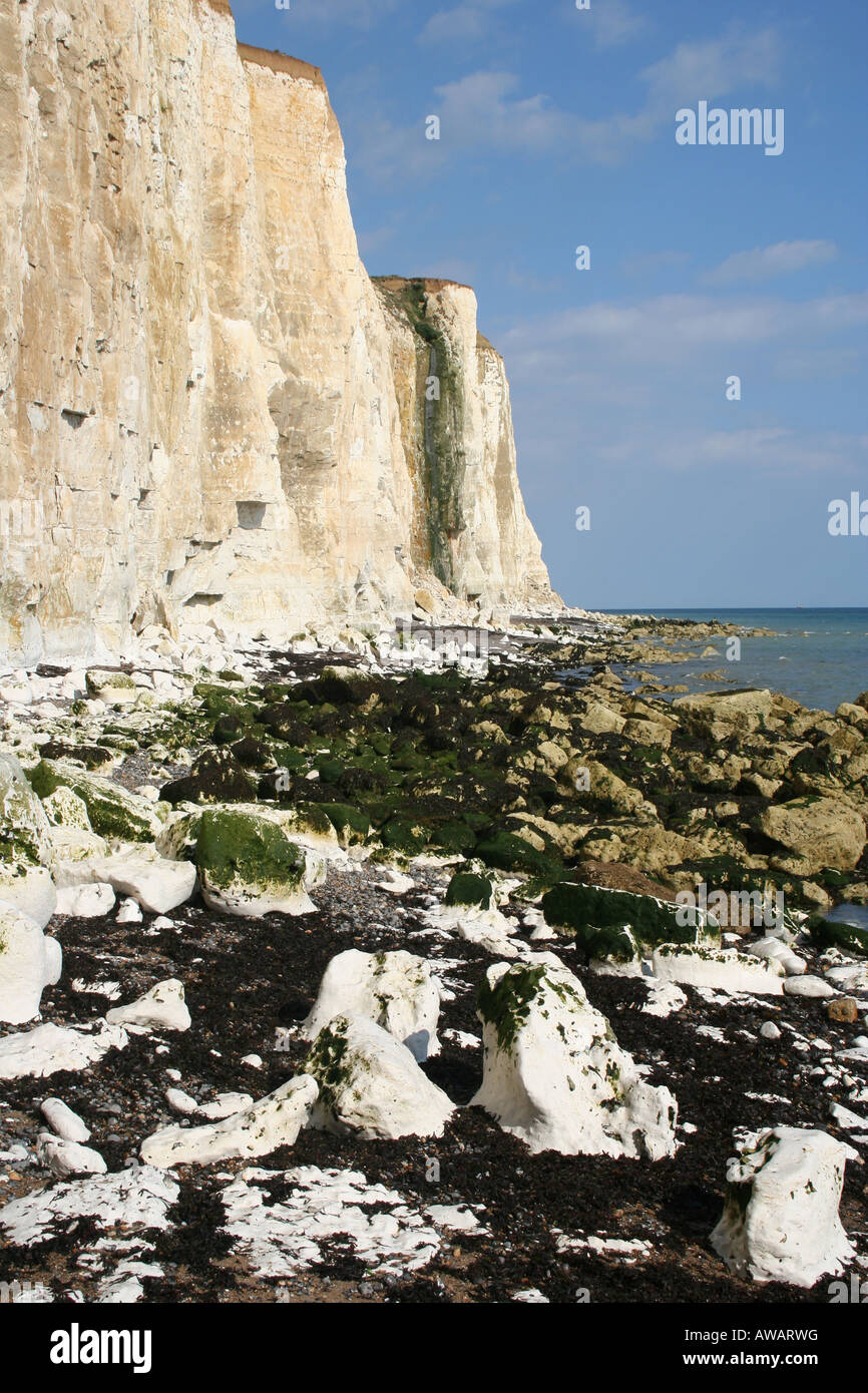 White cliffs of southern England Stock Photo - Alamy