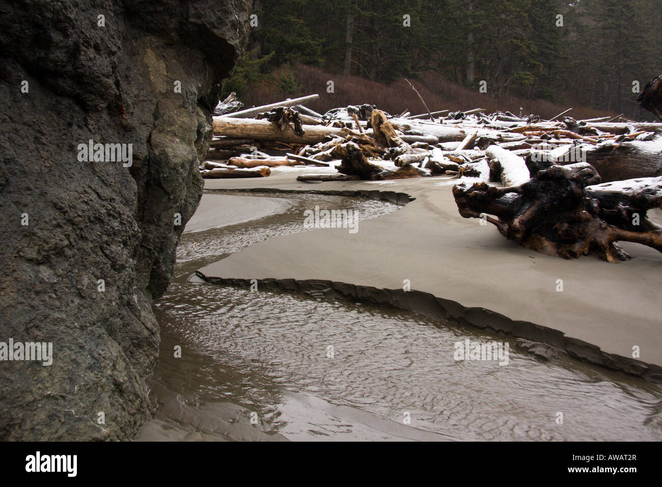 Stream on Beach, Second Beach, La Push, Washington, USA Stock Photo - Alamy