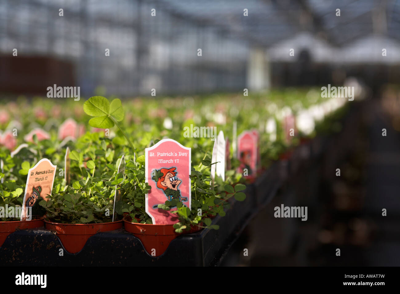 Packing plants hi-res stock photography and images - Alamy