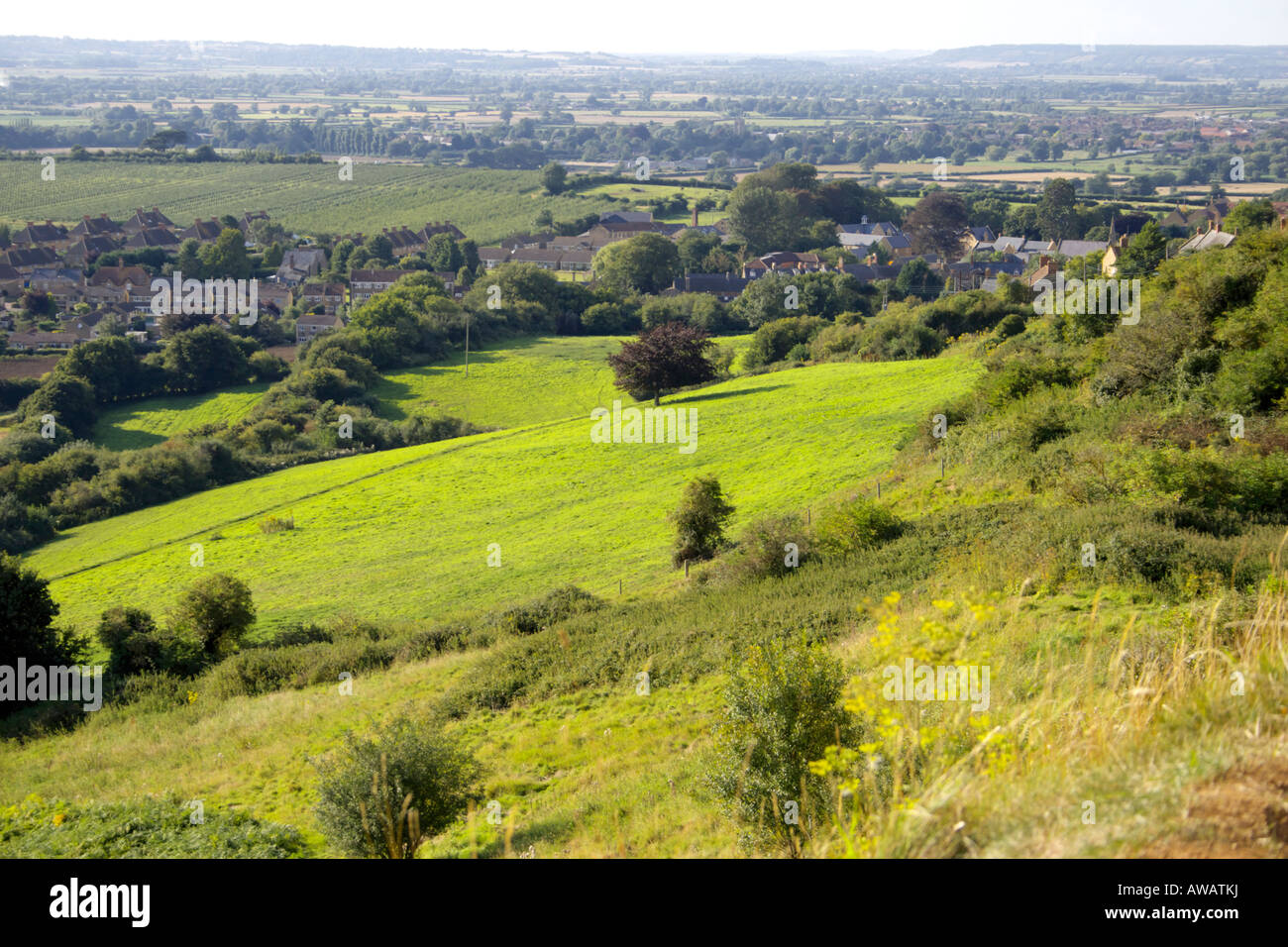 Ham hill somerset hi-res stock photography and images - Alamy