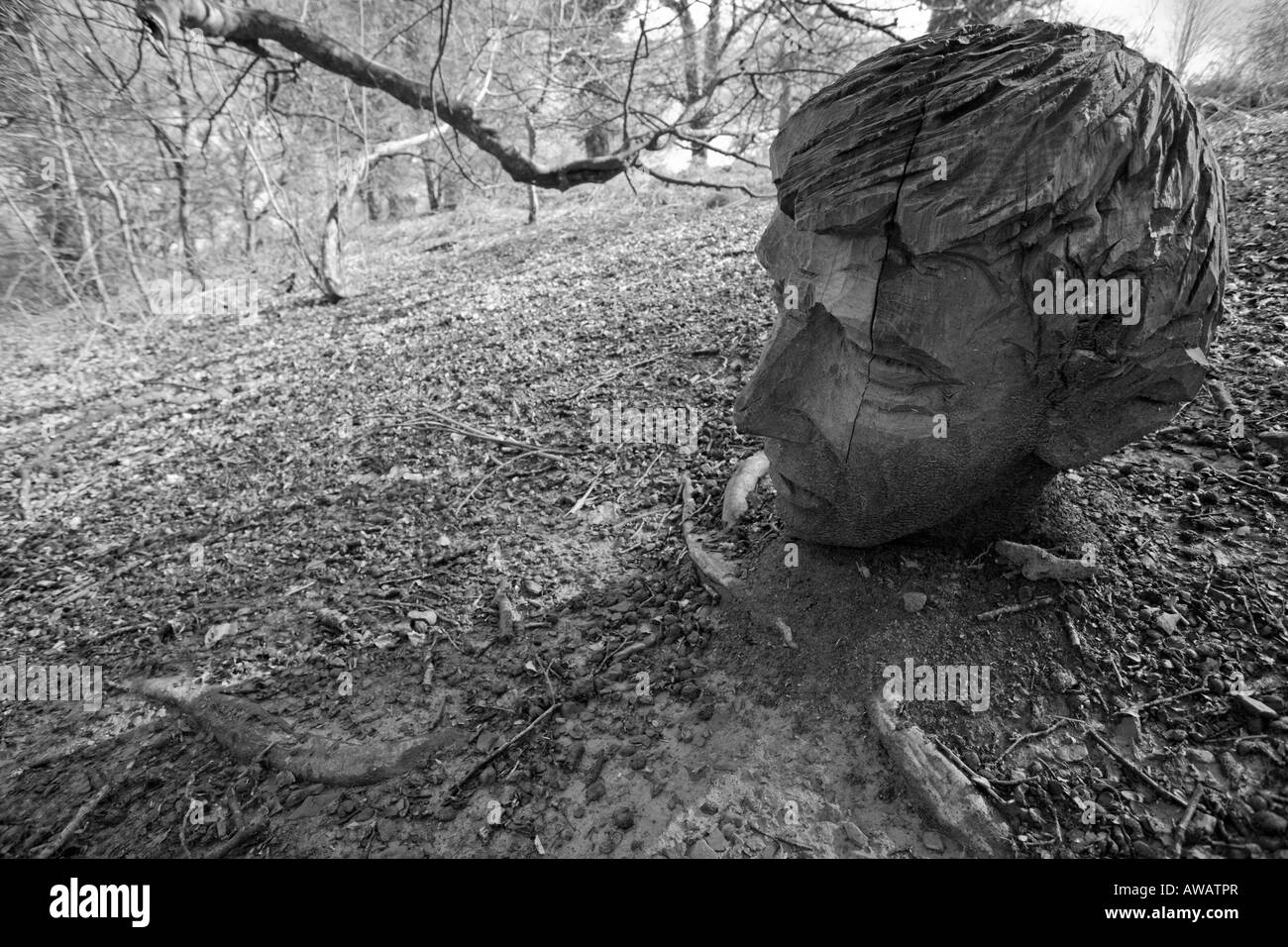 Up to his neck in it! Stock Photo - Alamy
