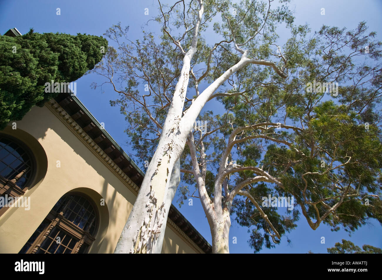 Public Library Santa Barbara, California, USA Stock Photo - Alamy
