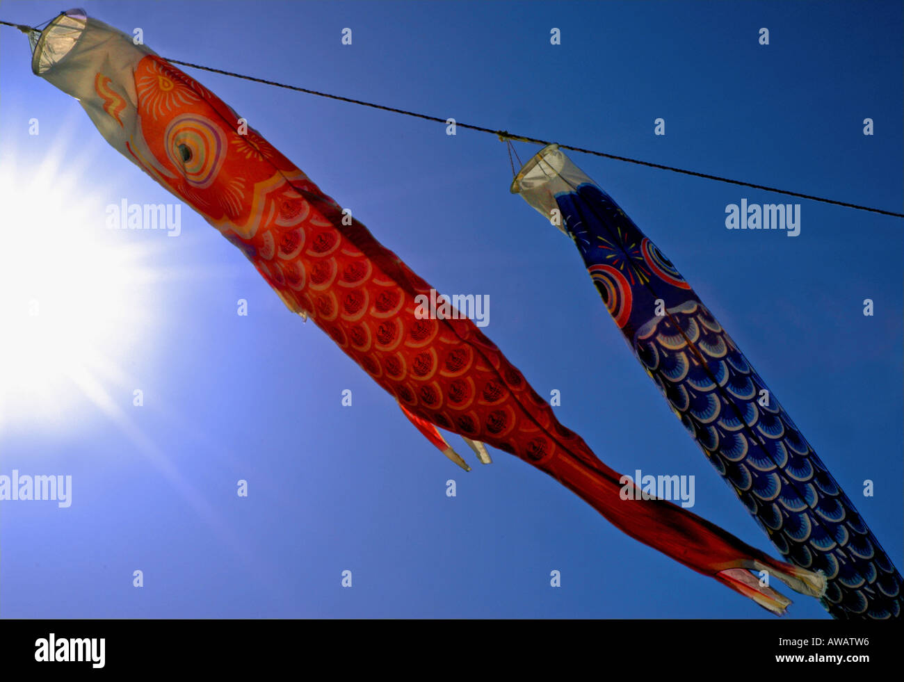 Koinobori (Japanese flying carp Stock Photo - Alamy
