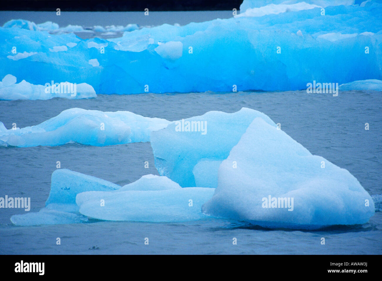 Lago ( Lake ) Grey or Gray with glacial icebergs, Torres del Paine ...