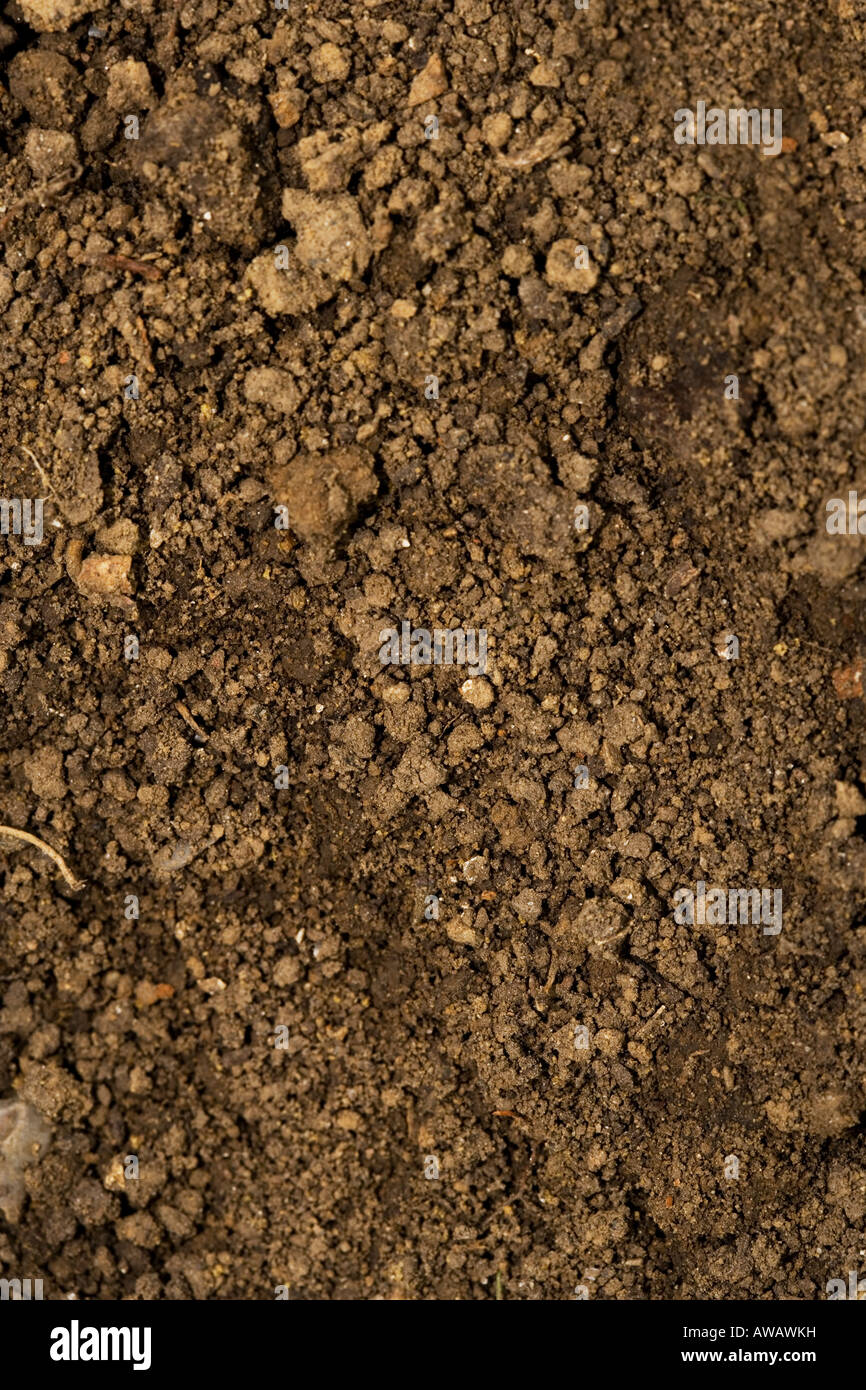 Weed free garden soil Stock Photo - Alamy