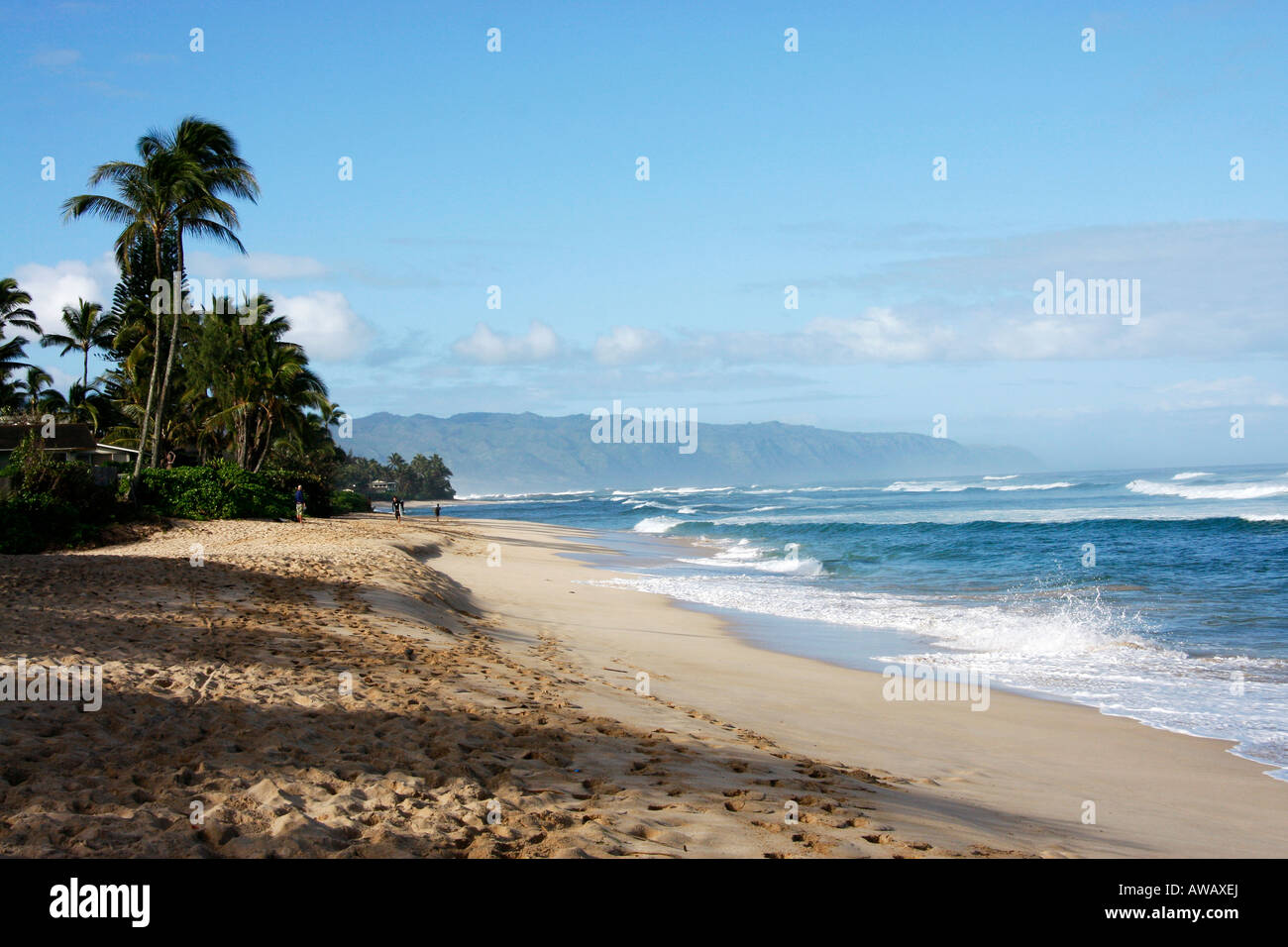 Surfing beach on the north shore of Oahu Hawaii Stock Photo - Alamy