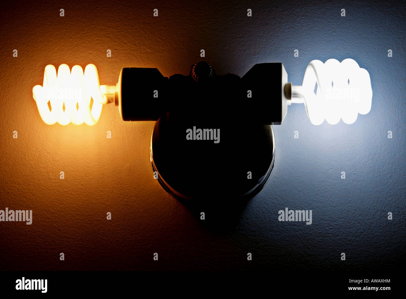 Two different lightbulbs Stock Photo - Alamy