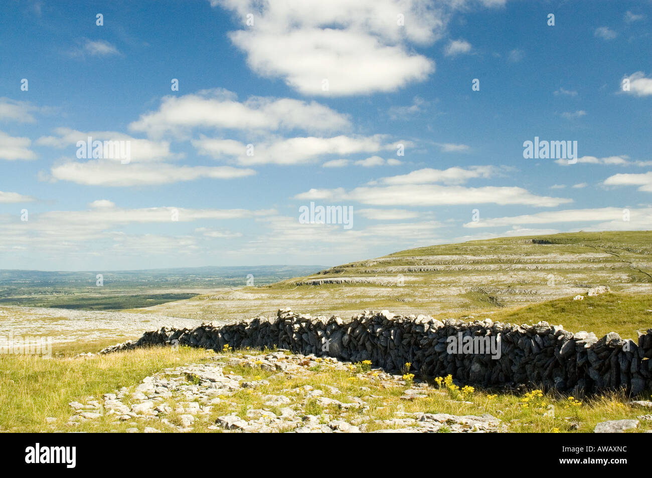Traditional dry stone wall in Burren landscape, ireland Stock Photo - Alamy