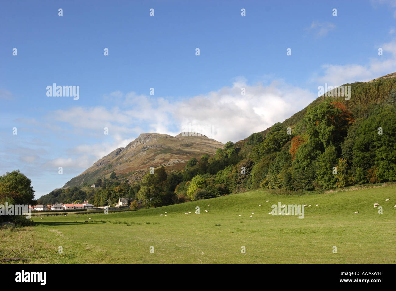 Menstrie ochils hi-res stock photography and images - Alamy