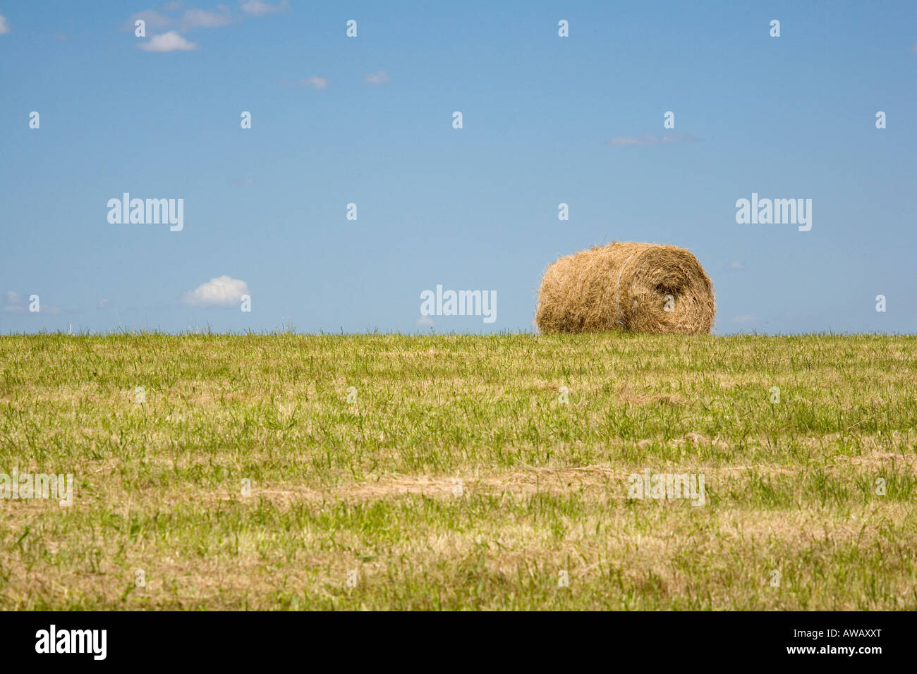 Hay bale in a farmer's field Stock Photo - Alamy