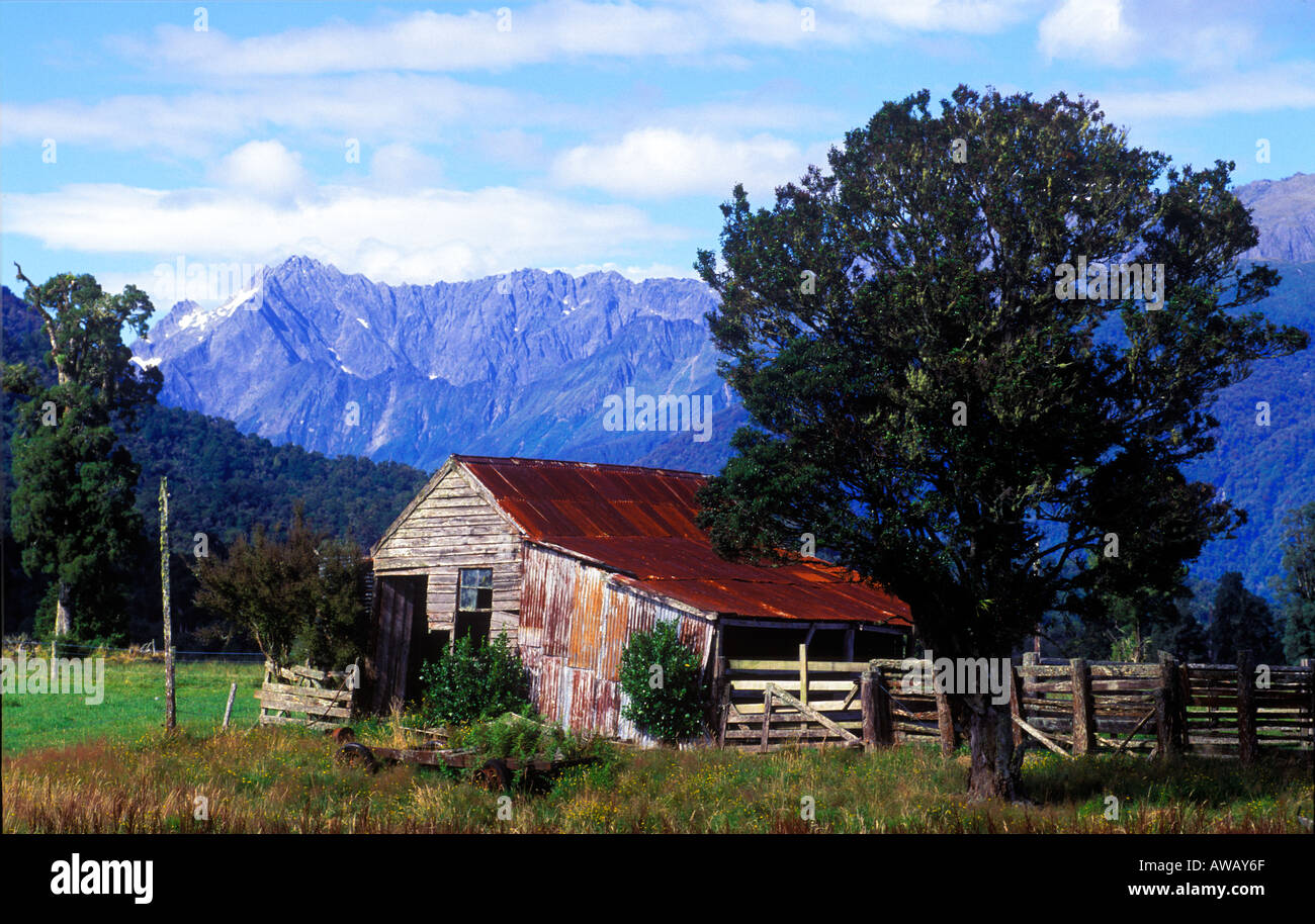 neglected farm shed west coast south island New Zealand Stock Photo - Alamy