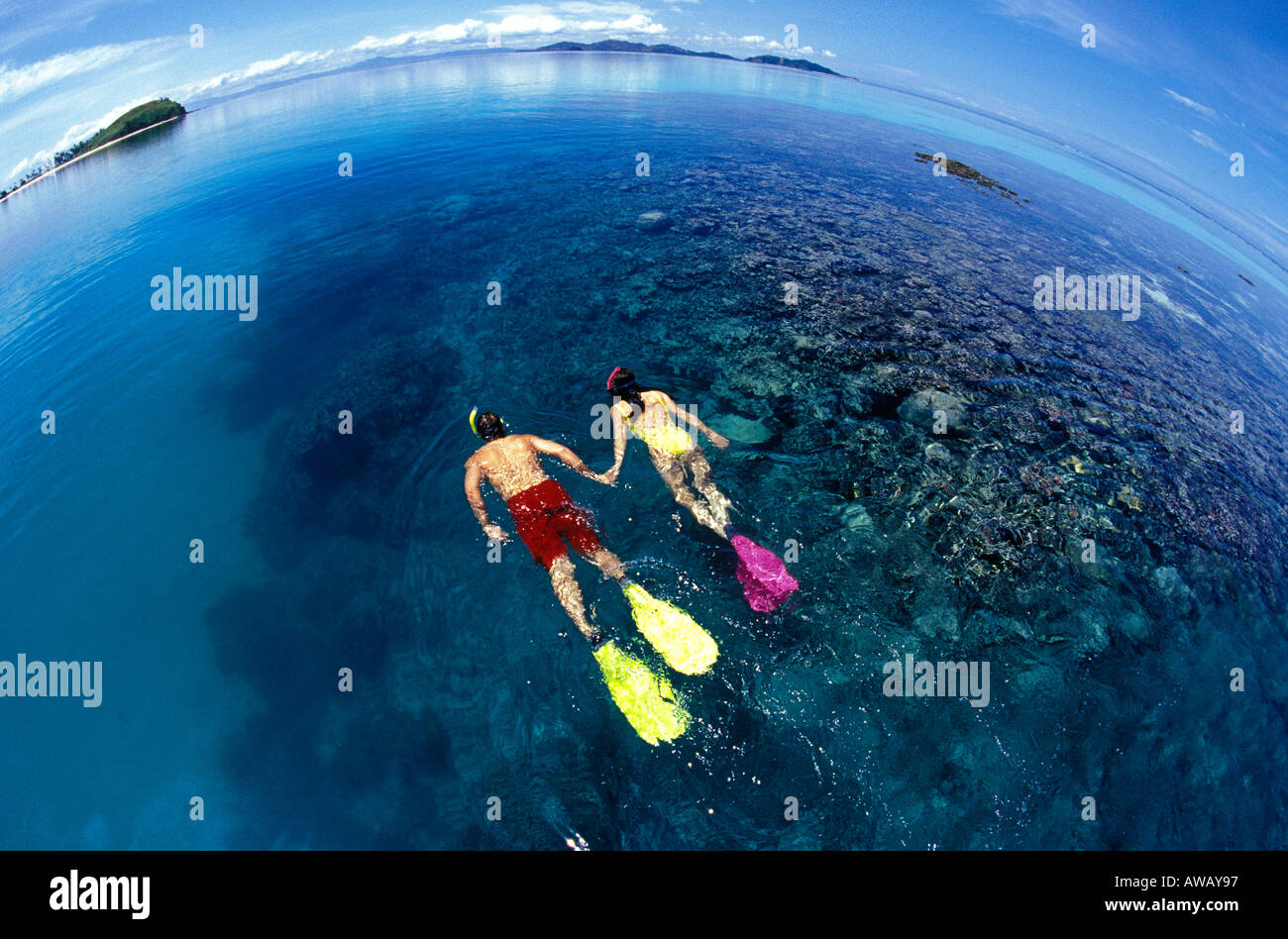 Snorkelling Fiji mr Stock Photo - Alamy
