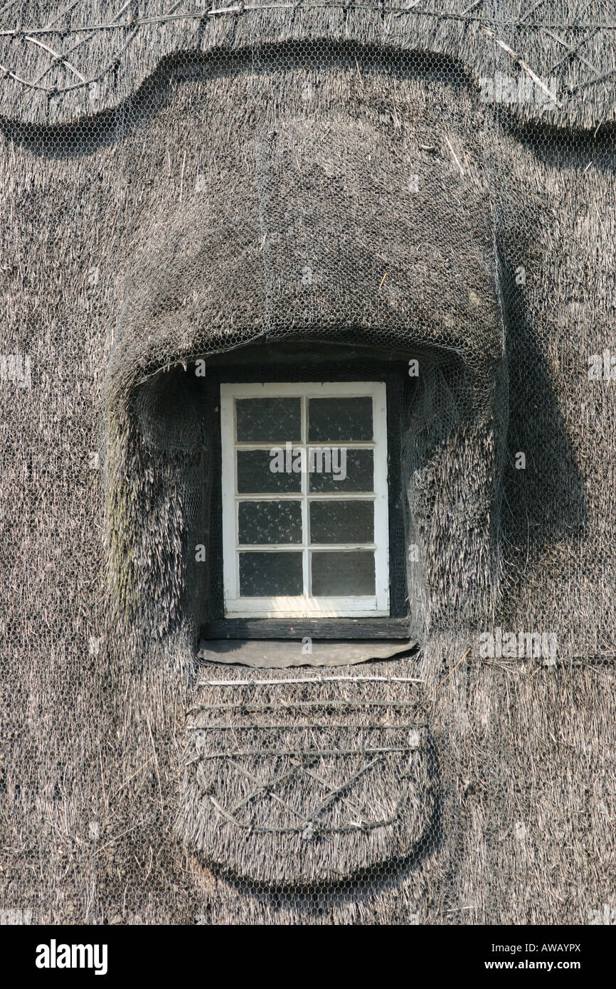 old thatched roof with modern small glass windows Stock Photo - Alamy
