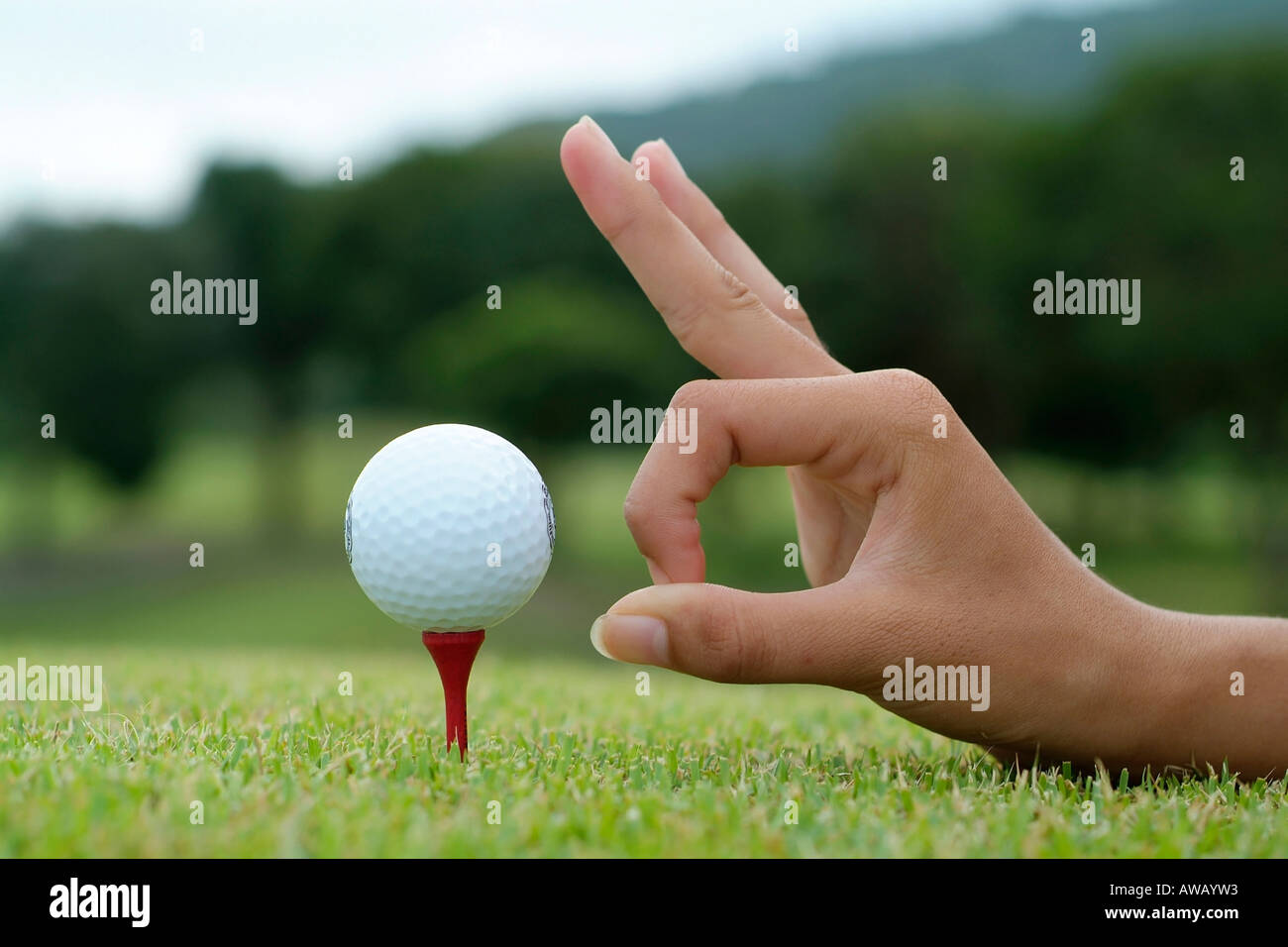 Golf ball tee peg hi-res stock photography and images - Alamy