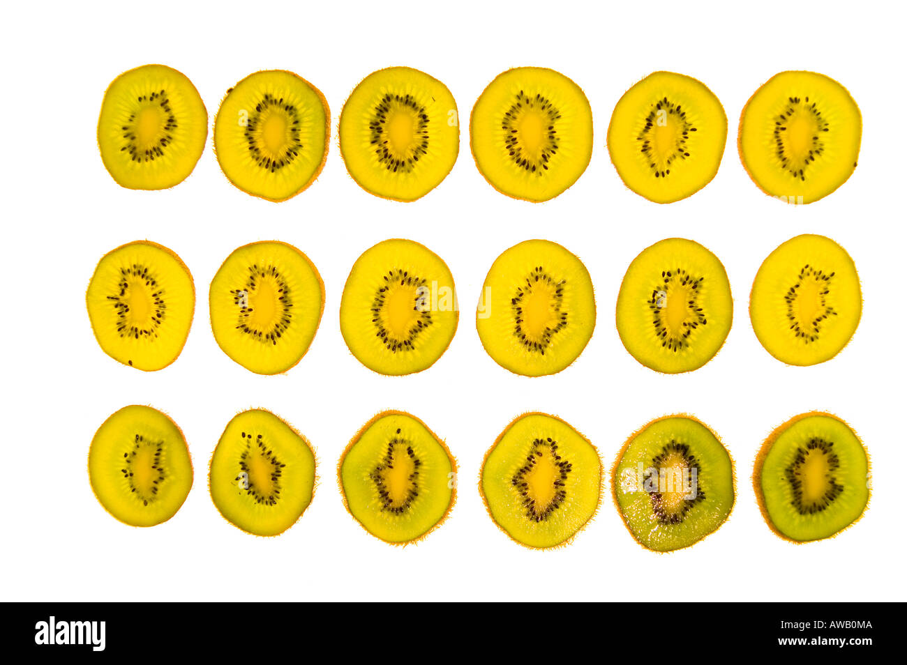 Backlit citrus fruit Cut Out Stock Images & Pictures - Alamy