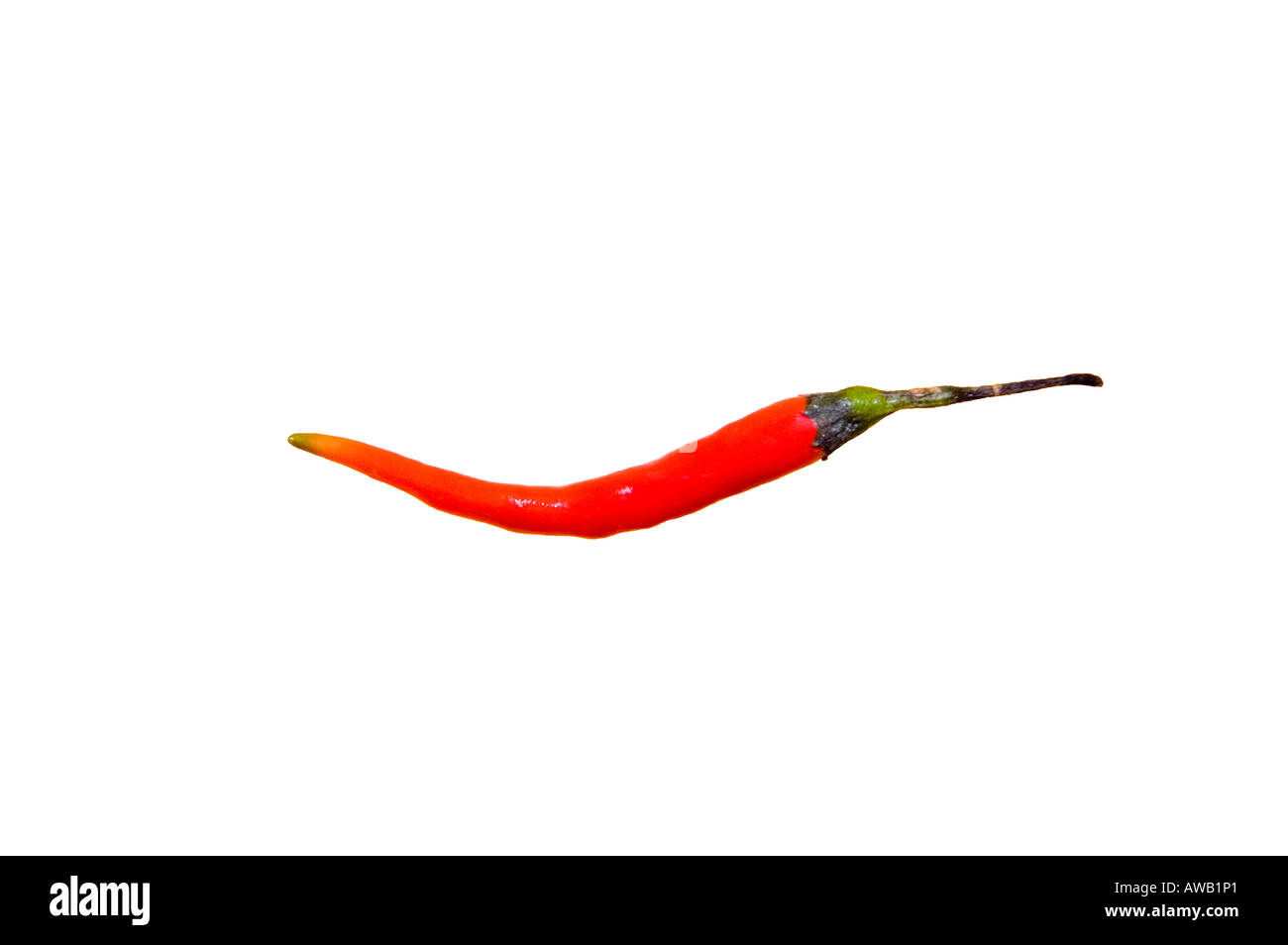 Single Red Chilli Cutout Stock Photo - Alamy