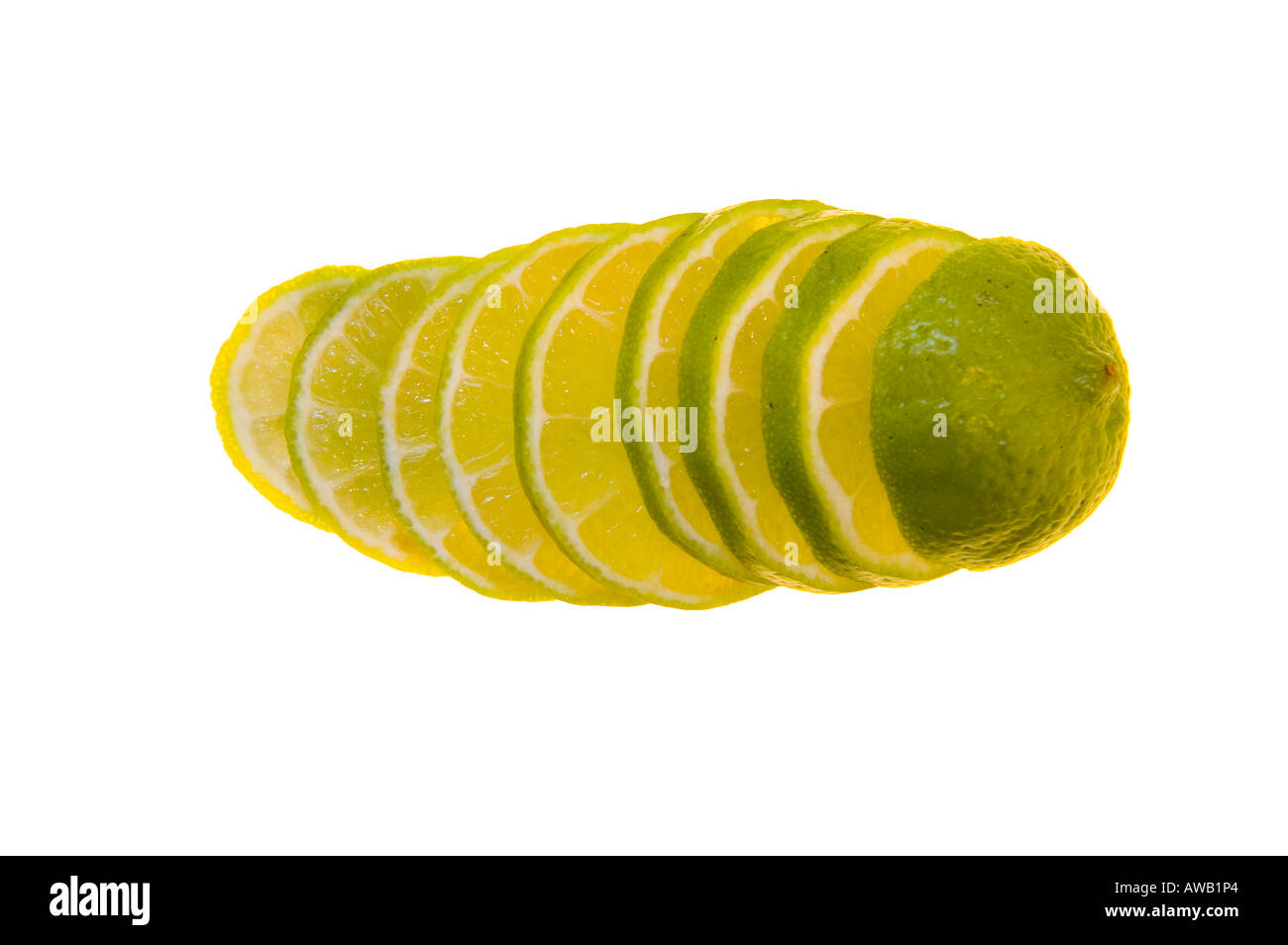 Overlapping Lime Slices In line Cutout Stock Photo - Alamy